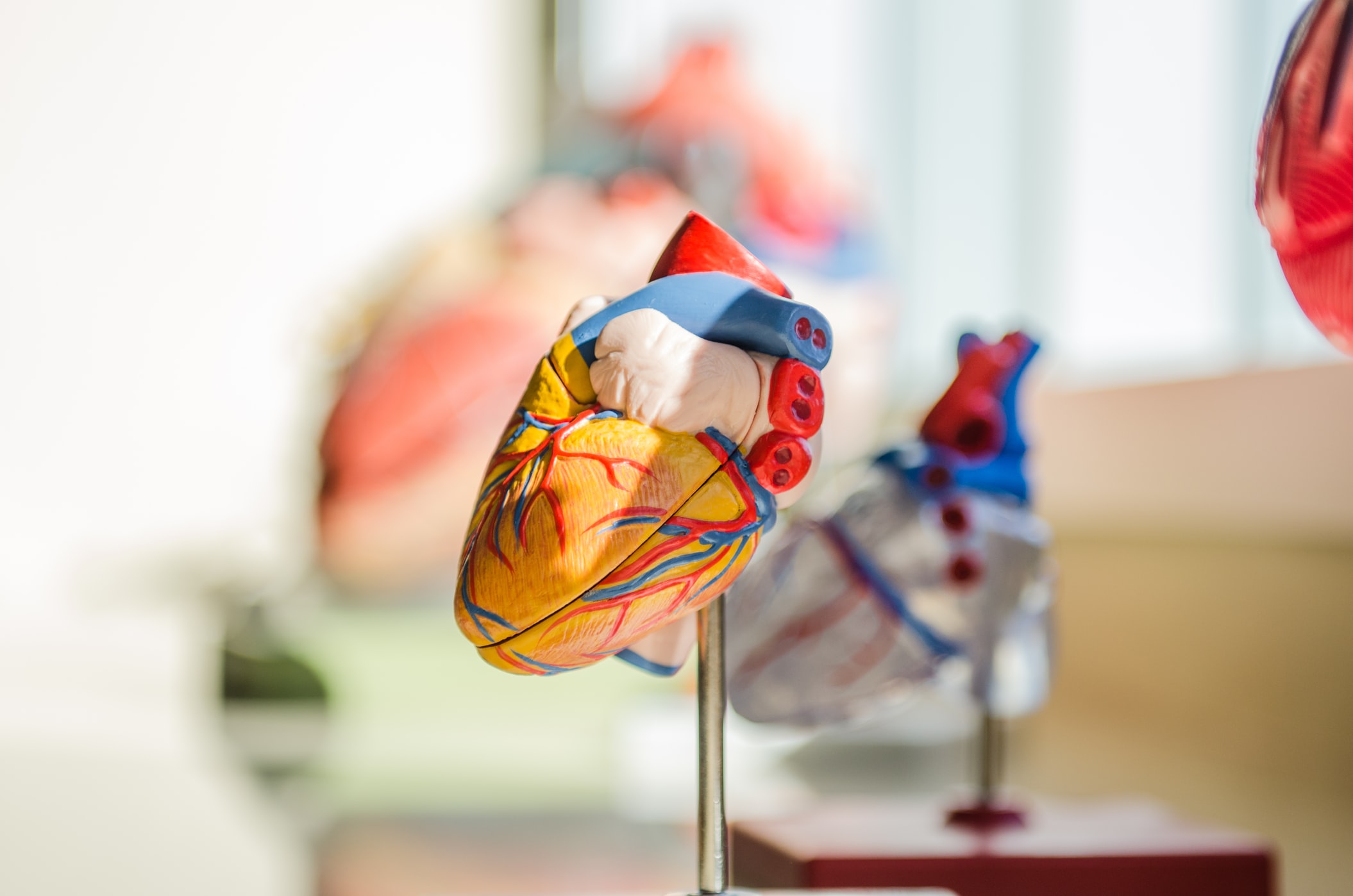 5 Ways To Improve Cardiovascular Health 5 Ways To Improve Cardiovascular Health